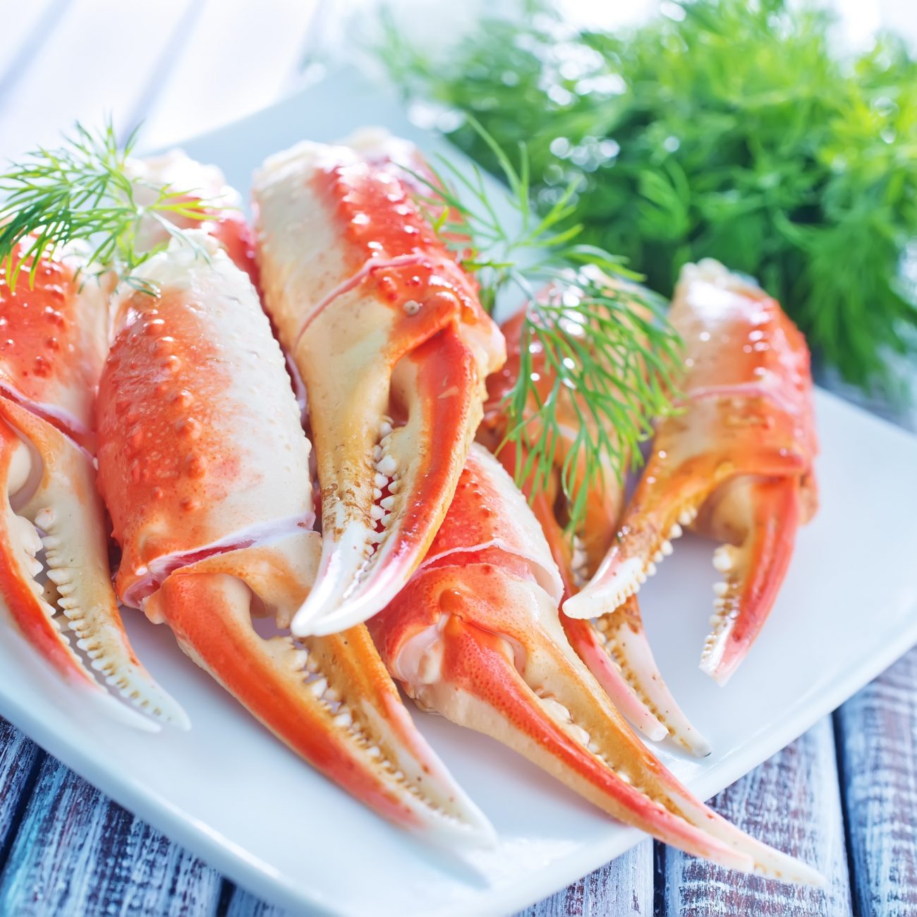 Seafood delicacies - Khan Caviar